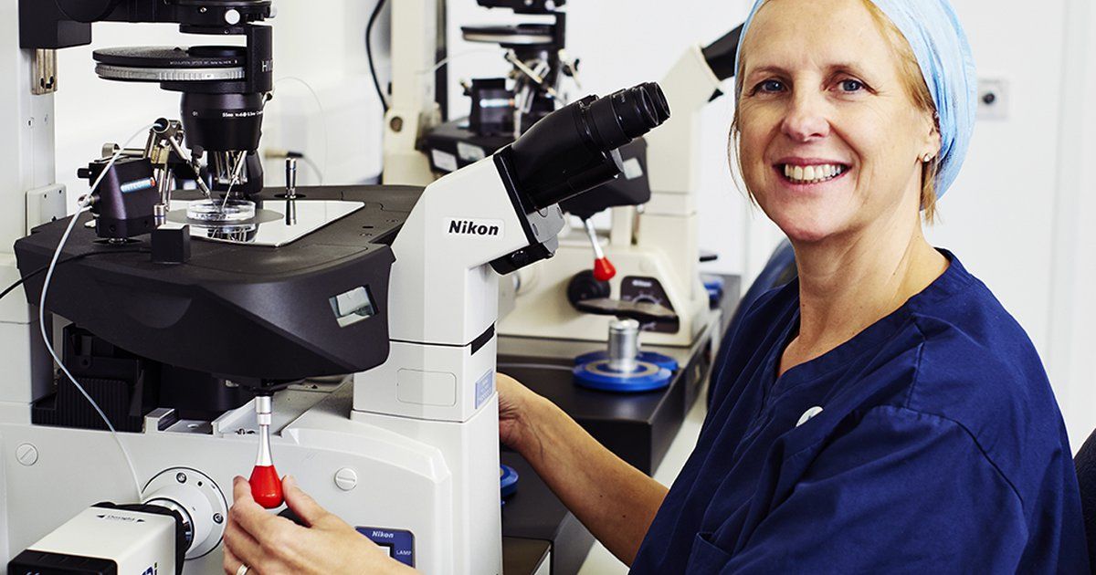 IVF Embryo Mix-Up at Foreign IVF Clinic: Our Safeguards | Manchester ...