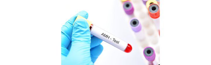 Understanding AMH Levels & Test Results | Manchester Fertility